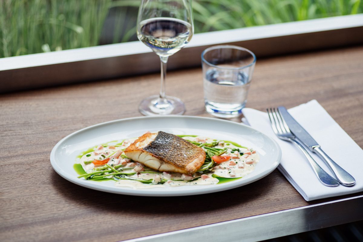 Gallery - Funky Fisch